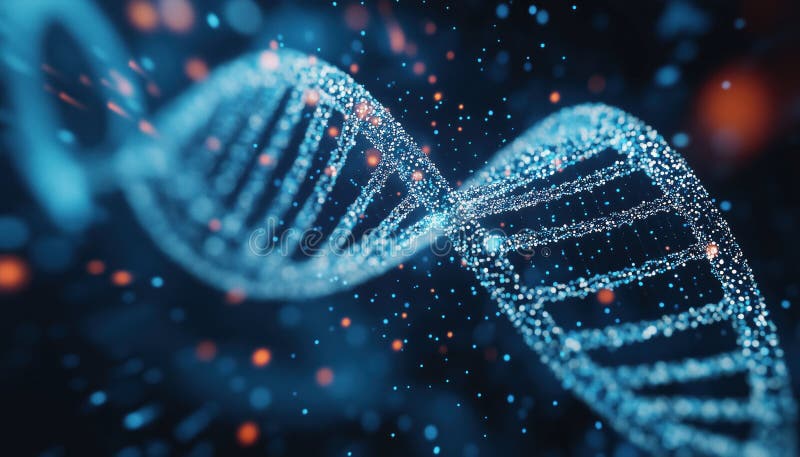 Structure Dna Diagram 6 Nucleotides Stock Photos - Free & Royalty-Free ...