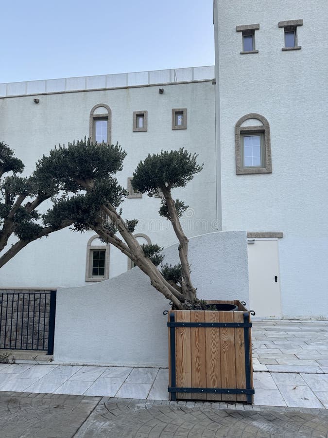 Visually Striking Architecture Featuring Unique Tree Placement in a ...