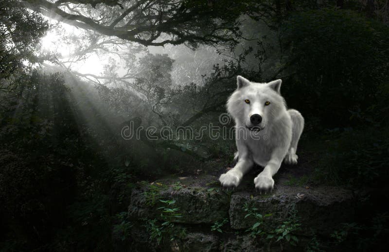 Vit Varg, Forest Illustration Fotografering för Bildbyråer - Bild av ...