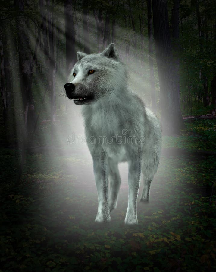 Vit Varg, Forest Illustration Fotografering för Bildbyråer - Bild av ...