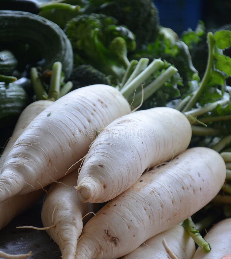 Vita morötter arkivfoto. Bild av horticultural, vitt - 32464570