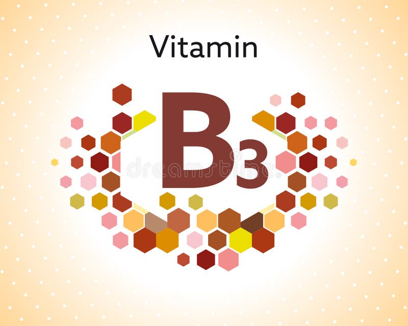 Vitamin B3 stock vector. Illustration of fish, ingredient - 231214483