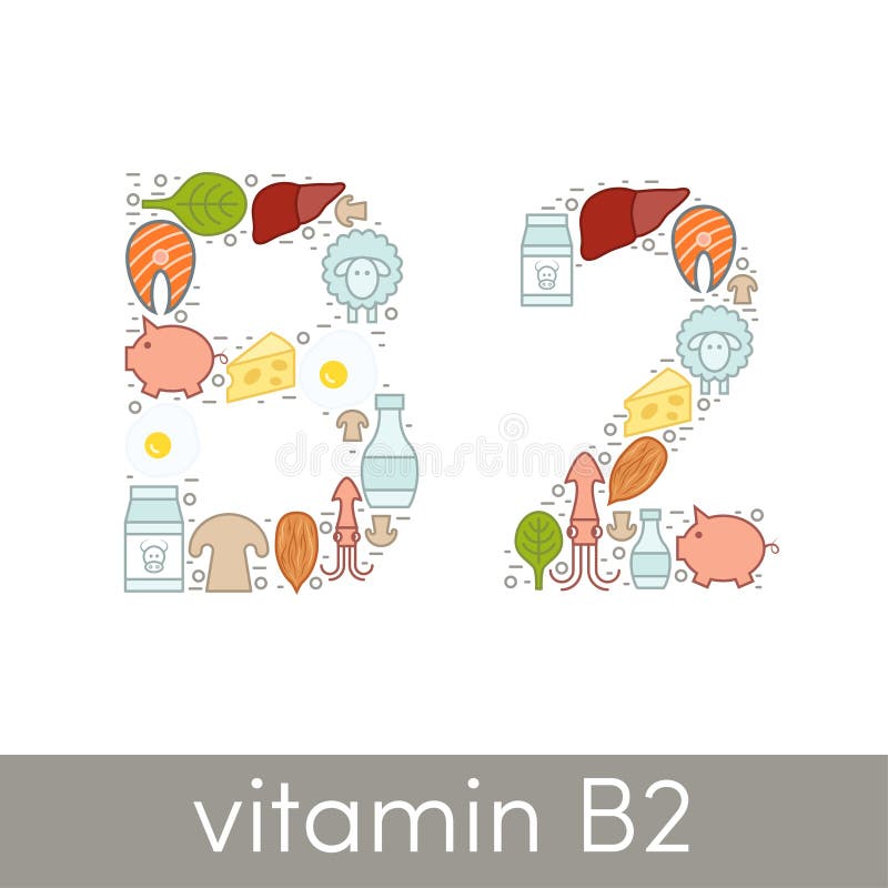 Vitamin B2 stock illustration. Illustration of concept - 91889338
