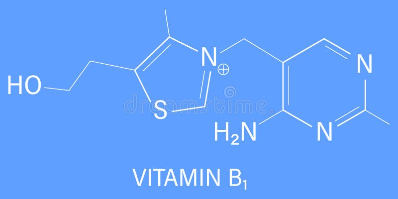Vitamin B1 or Thiamine Molecule. Skeletal Formula Stock Vector ...