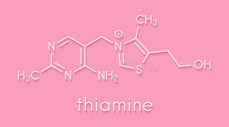 Vitamin B1 Thiamine Molecule. Skeletal Formula. Stock Illustration ...