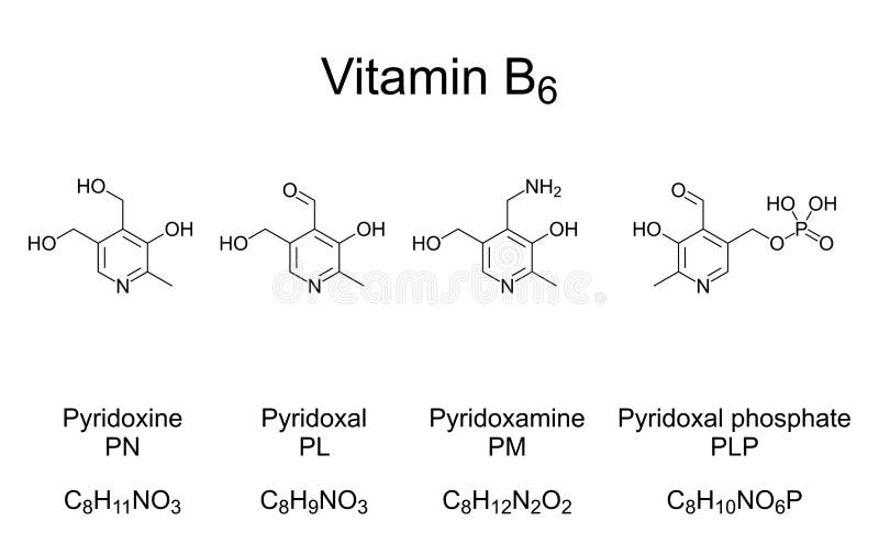 Vitamin B6 Structure