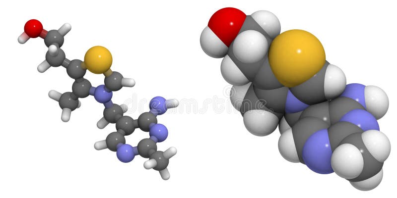 Vitamin B1 (thiamine) stock illustration. Illustration of coenzyme ...