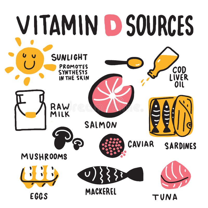 Vitamin D Sources. Hand Drawn Illustration of Different Food Rich of ...