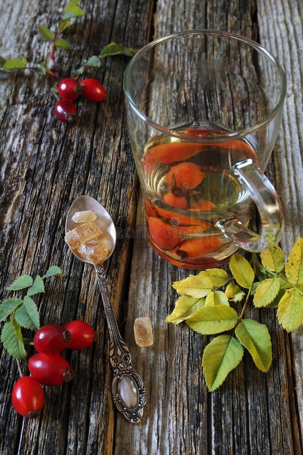 Vitamin tea rose hip stock photo. Image of medicinal - 61363710