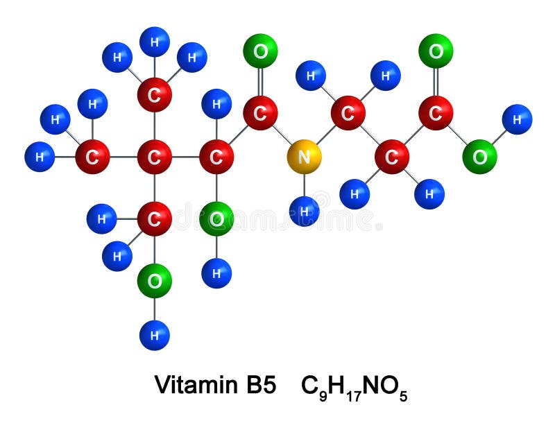 Vitamina b5 stock de ilustración. Ilustración de blanco - 212808764