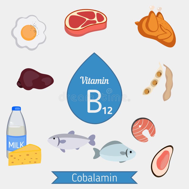 Vitamina B12 Ou Cobalamina Infographic Ilustração do Vetor - Ilustração ...