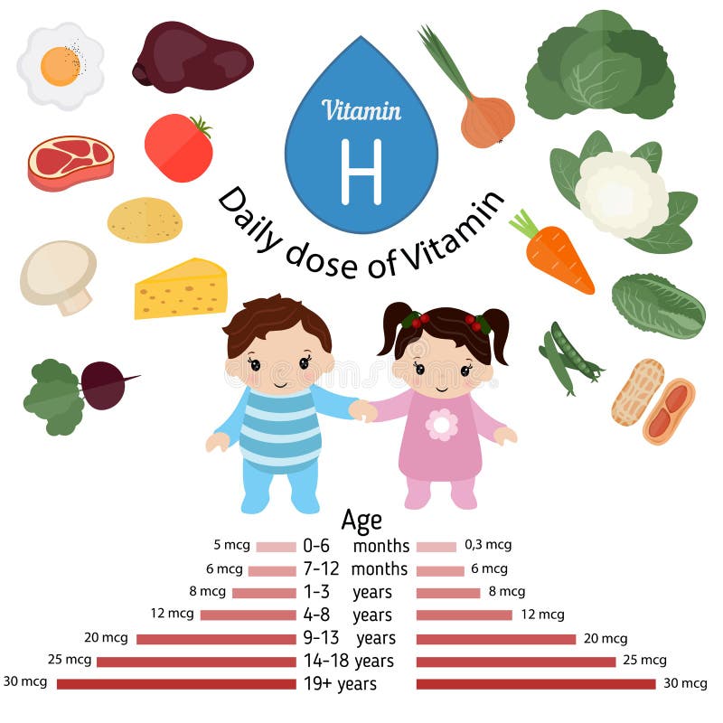 Vitamina H O Biotina Infographic Illustrazione Vettoriale ...