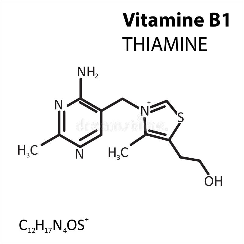 B1 Thiamine Stock Illustrations – 355 B1 Thiamine Stock Illustrations ...