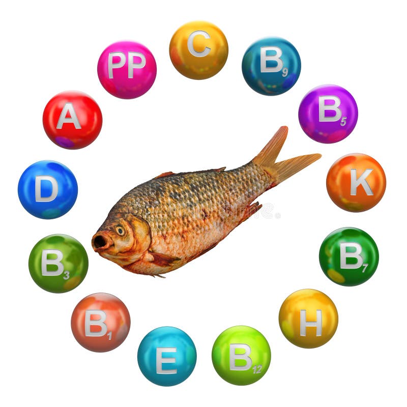 Vitamins in Carp Fish, 3D Rendering Stock Illustration - Illustration ...