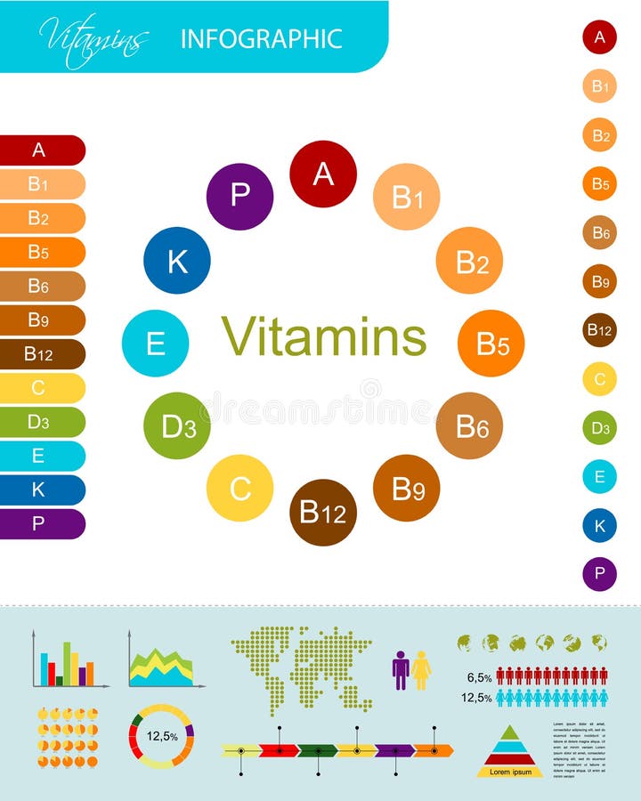 Vitamins Infographic for Your Design Stock Vector - Illustration of ...