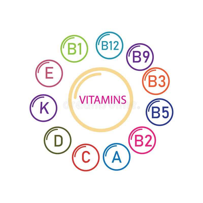 Vitamins stock vector. Illustration of nutrition, hold - 171266427