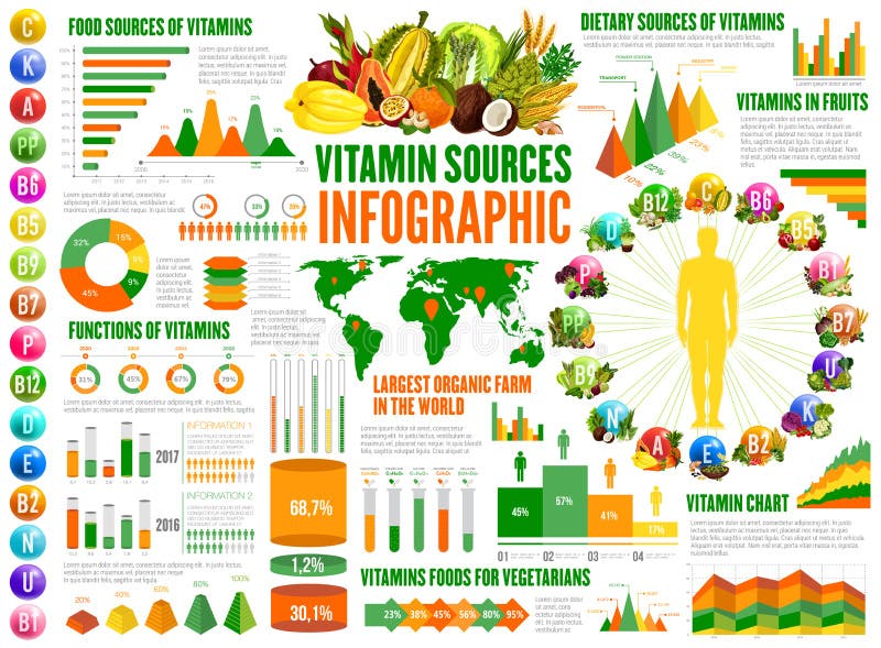 Vegetable Infographics with Graphs and Veggies Stock Vector ...