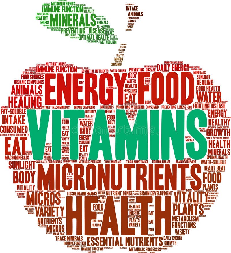 Vitamins Word Cloud stock vector. Illustration of development - 158975279