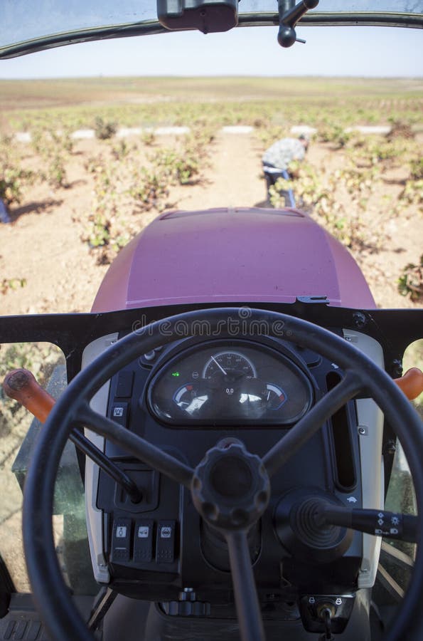 Viticulture Tractor in Operation during Harvest Season Stock Image ...