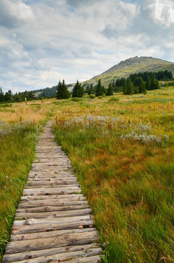 Vitosha mountain stock photo. Image of hill, wooden, paths - 58231472
