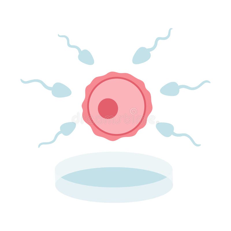 In Vitro Fertilization. Egg, Sperm Illustration in Cartoon Flat Style ...