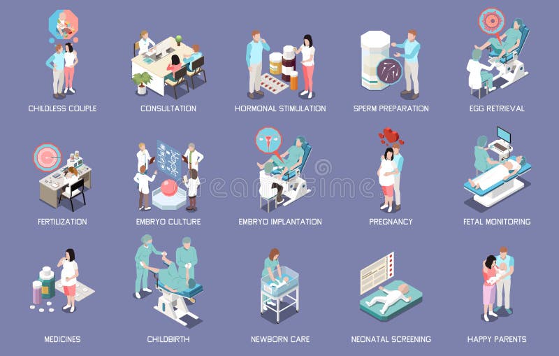 In Vitro Fertilization Isometric Set Stock Vector Illustration Of