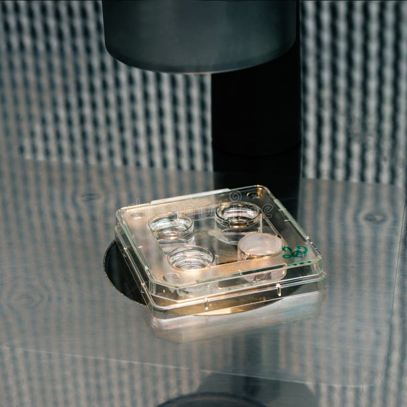 In Vitro Fertilization Process Close Up. Equipment on Laboratory of ...