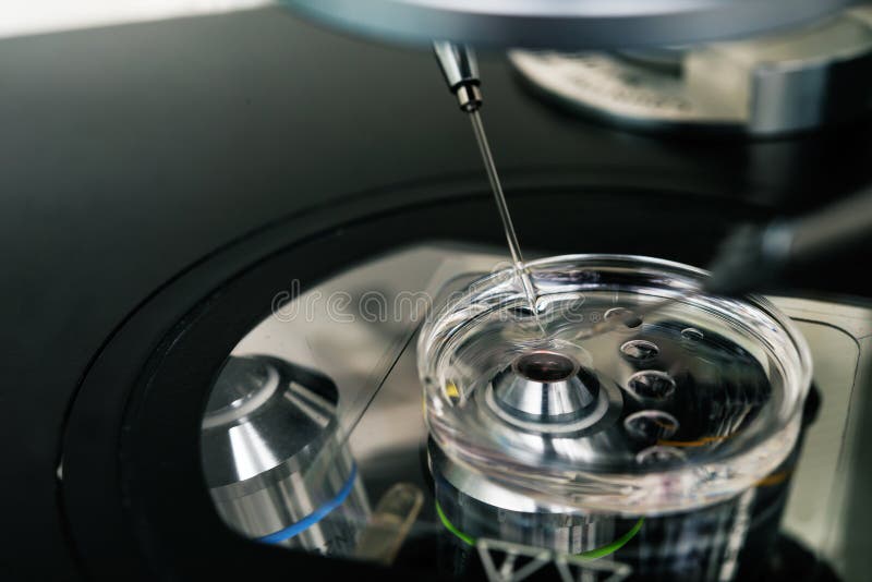 In Vitro Fertilization Process Close Up. Equipment on Laboratory of ...