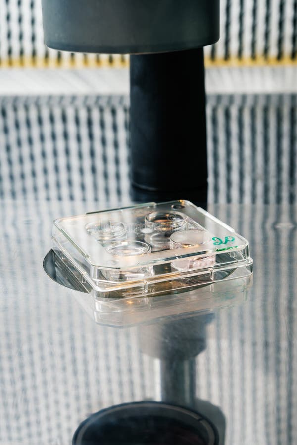 In Vitro Fertilization Process Close Up. Equipment on Laboratory of ...