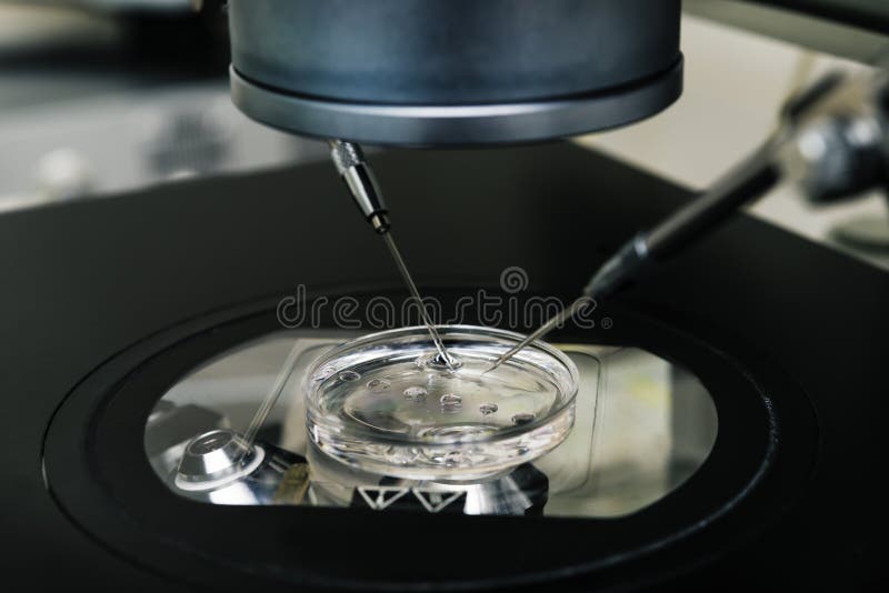 In Vitro Fertilization Process Close Up. Equipment on Laboratory of ...