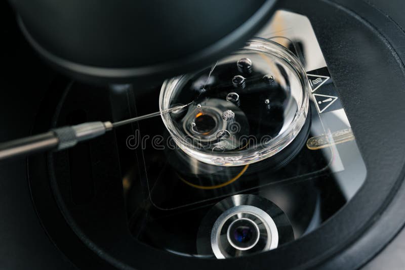 In Vitro Fertilization Process Close Up. Equipment on Laboratory of ...