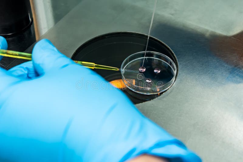 In Vitro Fertilization Process Close Up. Equipment on Laboratory of ...