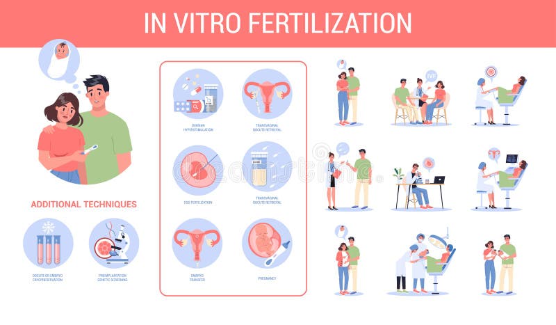 In Vitro Fertilization Step-by-step Method. Idea of Infertility Stock ...