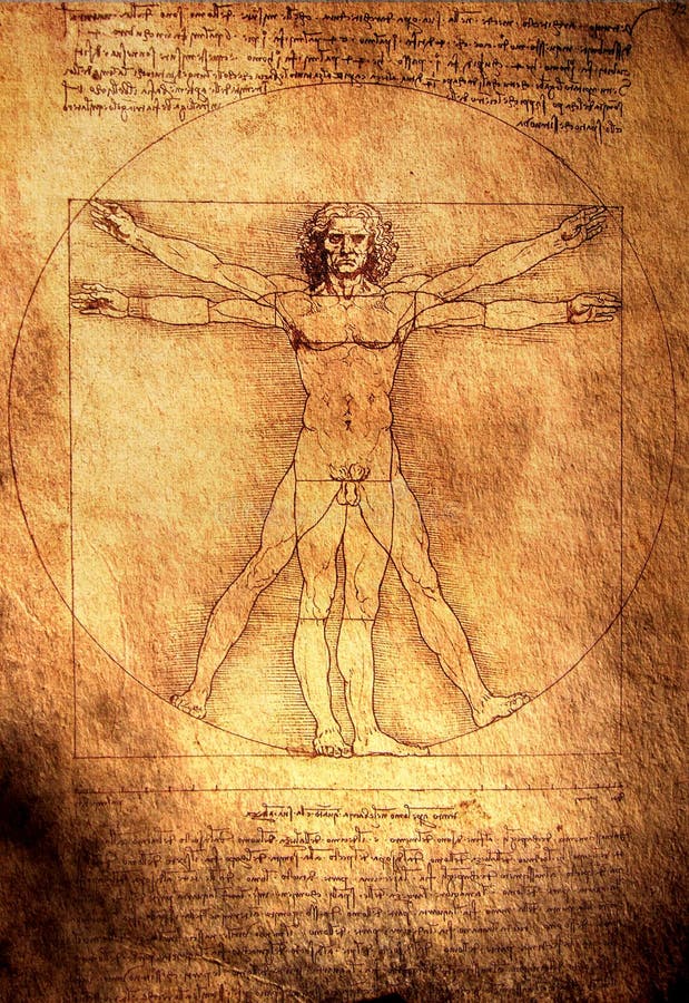 Leonardo Da Vinci Vitruvian Man. Human Body Proportions Standard Stock ... Leonardo Da Vinci Vitruvian Man. Human Body Proportions Standard Stock ...