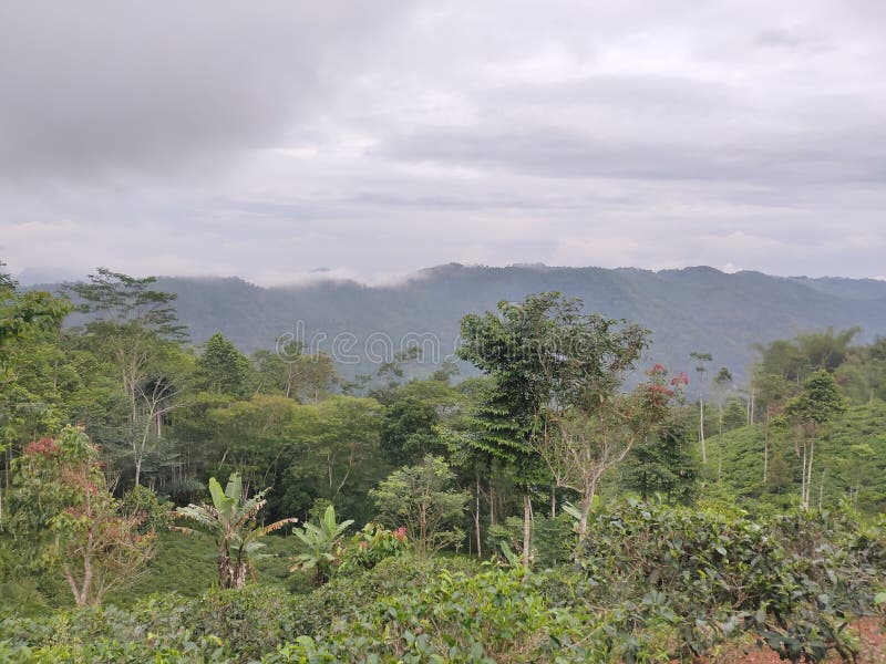 Viuw Mount Stock Photos - Free & Royalty-Free Stock Photos from Dreamstime