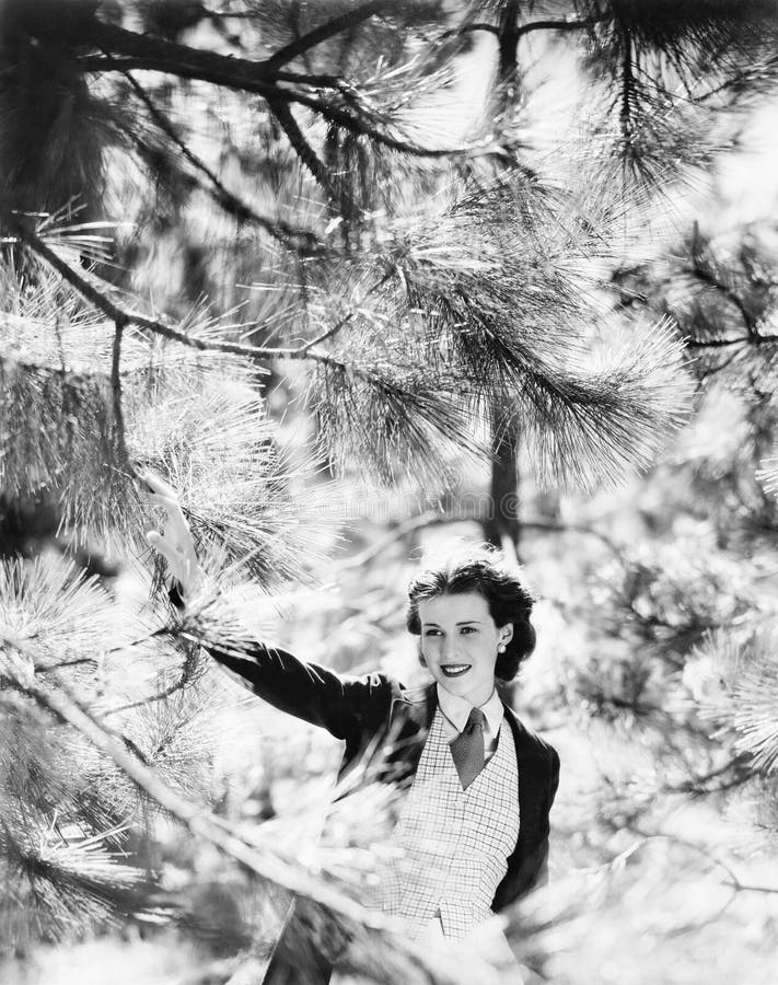Vivacious Woman Looking Branches Pine Tree Stock Photos - Free ...