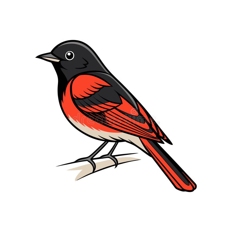 Vivid American Redstart Bird Color Artwork Stock Illustration ...