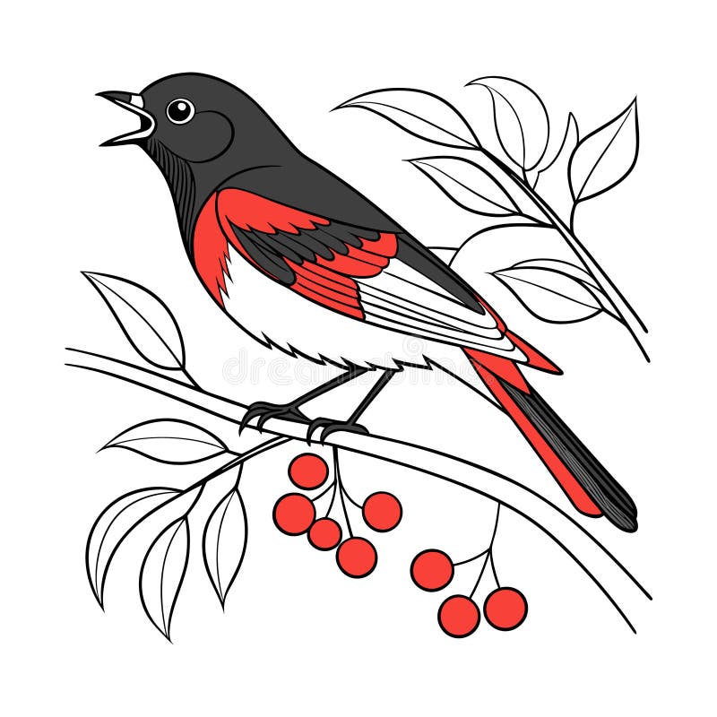 Vivid American Redstart Bird Design Stock Image - Illustration of minimalist, elegant: 366385225