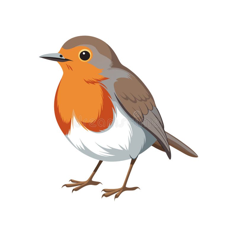 Vivid American Robin Bird Design Stock Photo - Illustration of vibrant ...