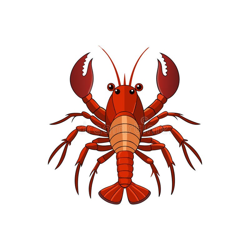 Colossendeidae Crustacean Stock Illustrations – 12 Colossendeidae ...