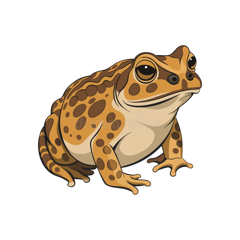 Vivid Dhofar Toad Nature Illustration Stock Illustration - Illustration ...