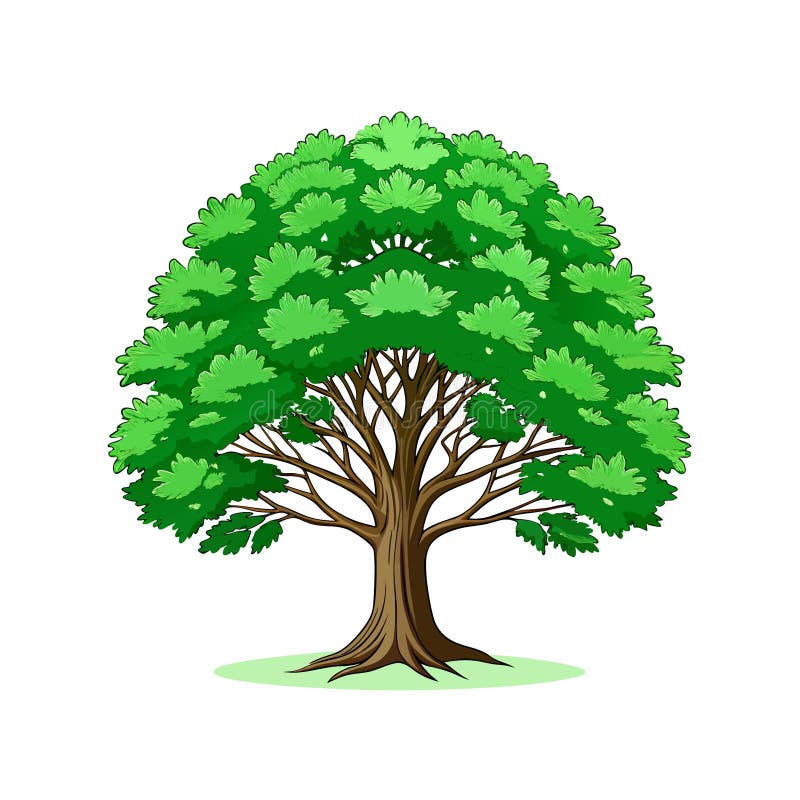 Vivid European Beech Tree Artwork Stock Image - Illustration of growth ...