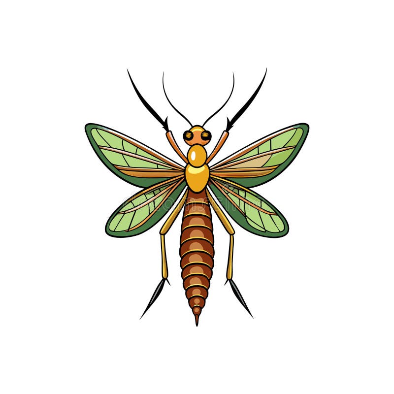 Vivid Artwork of Mayfly stock illustration. Illustration of biology ...