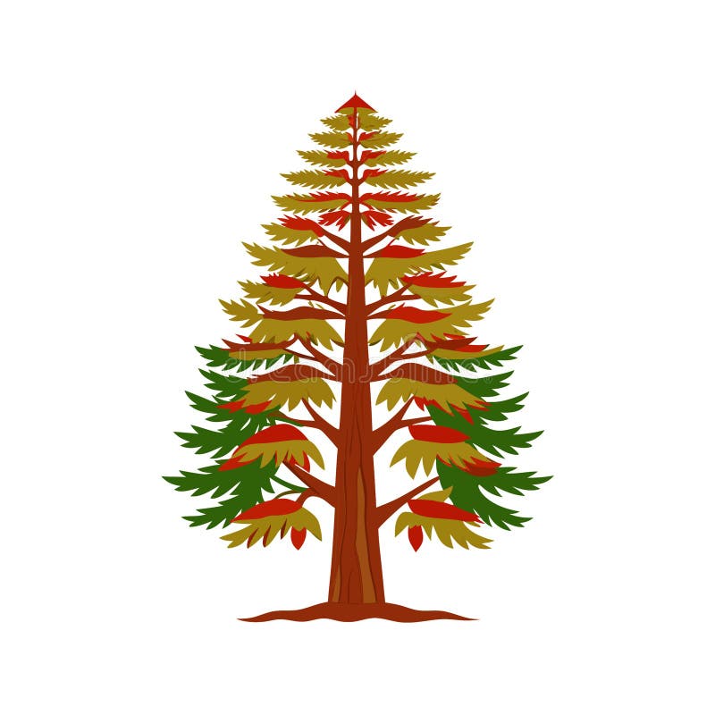 Vivid European Larch Tree Artwork Stock Illustration - Illustration of ...