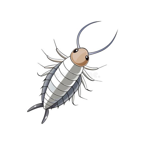 Vivid Artwork of Silverfish Stock Photo - Illustration of hand, species ...