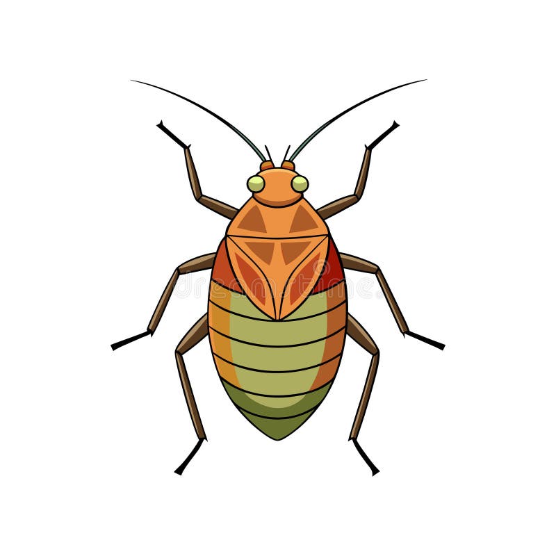 Vivid Artwork of Spined Soldier Bug Stock Illustration - Illustration ...
