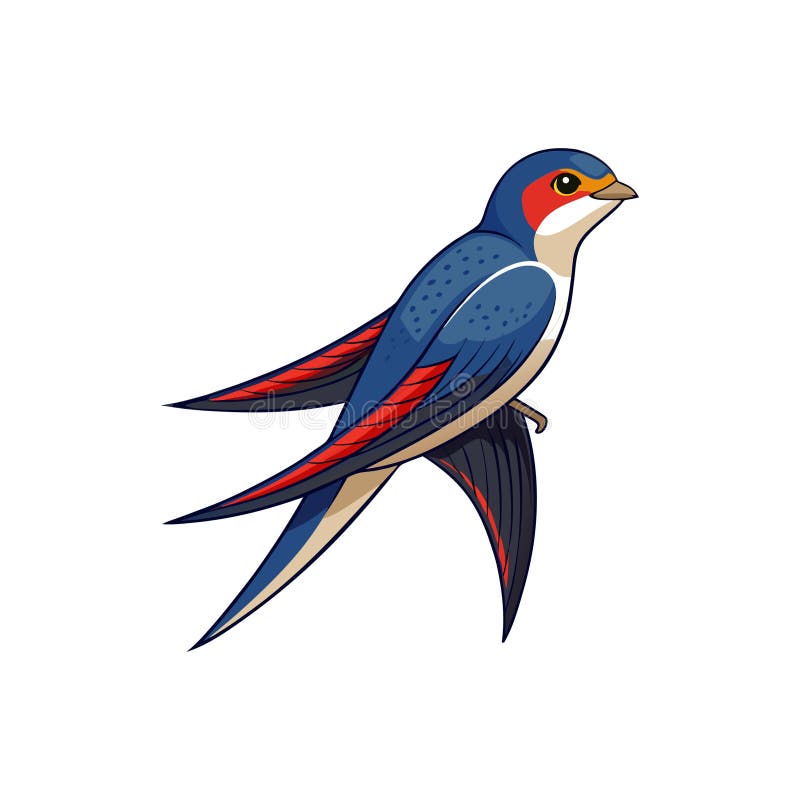 Vivid Asian Palm Swift Bird Design Stock Illustration - Illustration of ...