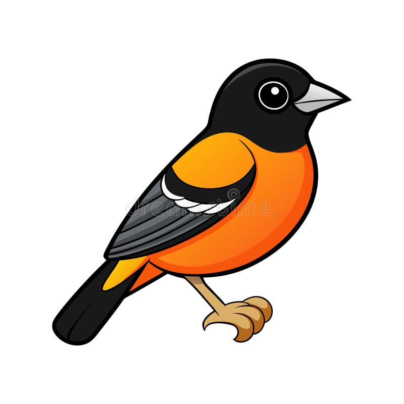 Vivid Baltimore Oriole Bird Design Stock Illustration - Illustration of ...