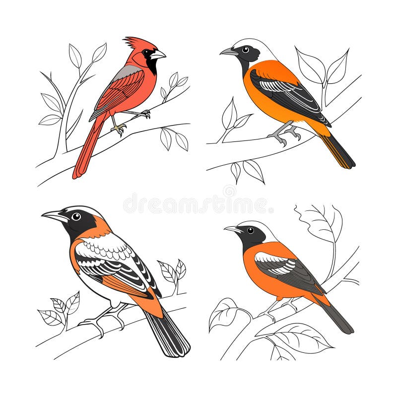 Vivid Black-Faced Monarch Bird Artwork Stock Vector - Illustration of ...