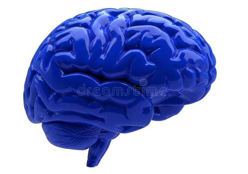 Vivid Blue 3d Human Brain Model Showing Intricate Neural Pathways and Cognitive Functionality ...